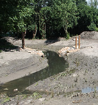 SIAH | Réouverture du Petit Rosne… Un retour aux sources