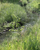 SIAH | Le Petit Rosne réouvert à Sarcelles, un premier bilan